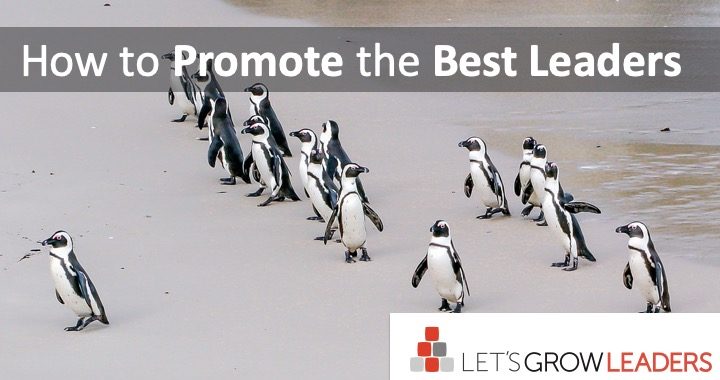 How to Promote the Best Leaders - Let's Grow Leaders