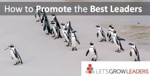 How to Promote the Best Leaders - Let's Grow Leaders