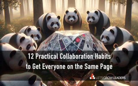 Great Teams: 12 Practical Collaboration Habits to Create Clarity