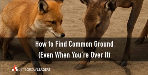 How to Find Common Ground (With Video) - Let's Grow Leaders